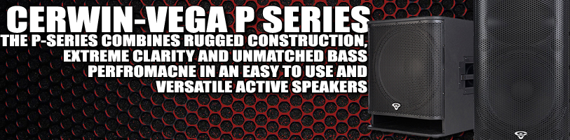 Cerwin Vega DJ Speakers & Subwoofers